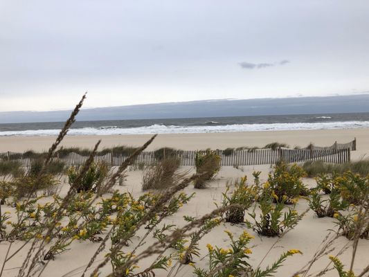 LONG BEACH ISLAND - 119 Photos & 55 Reviews - Surf City, New Jersey ...