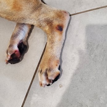 PET GALAXY - Updated January 2026 - 29 Photos & 24 Real Reviews - 13060 ...