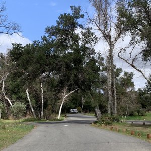 DRIPPING SPRINGS CAMPGROUND - 61 Photos & 45 Reviews - 38441-39323 Hwy ...