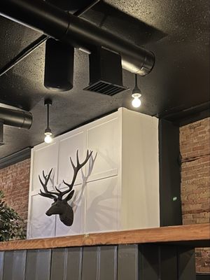 CONGRESS BEER HOUSE - Updated October 2025 - 26 Photos & 36 Reviews ...