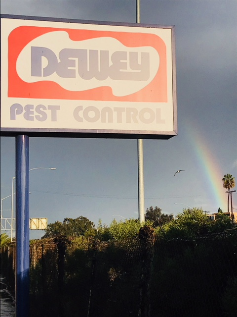 DEWEY PEST & TERMITE CONTROL - Updated September 2025 - 13 Photos & 110 ...
