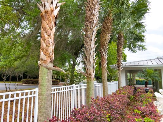 SABAL PALMS RECOVERY CENTER - Updated October 2025 - 57 Photos - 7300 ...