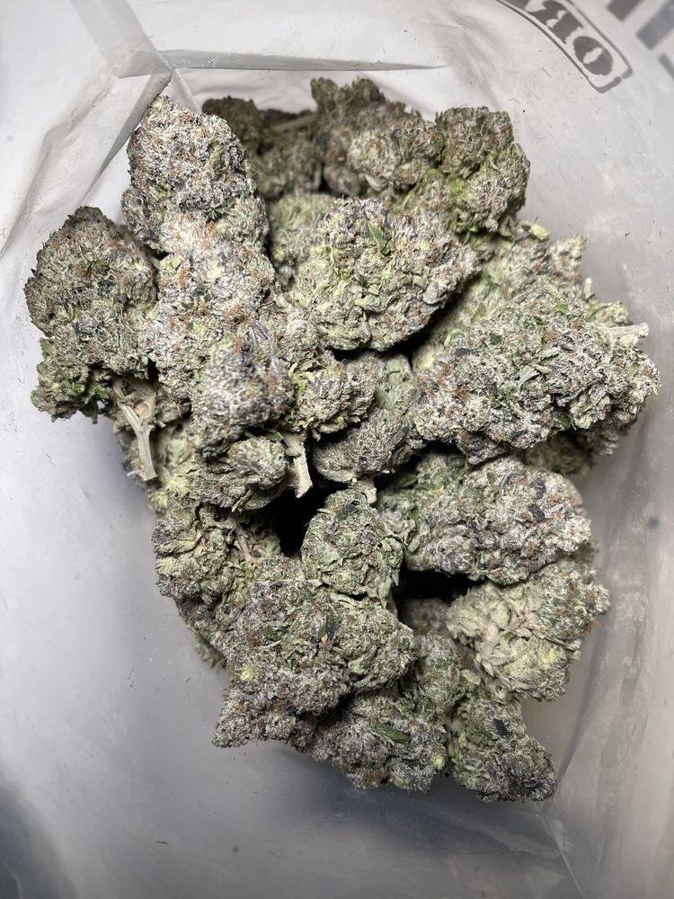 TORONTO WEED DELIVERY | PRIME EXOTICS| - Updated June 2025 - 14 Photos ...