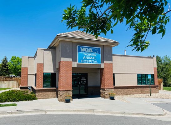 VCA THORNTON ANIMAL HOSPITAL - Updated July 2025 - 18 Photos & 43 ...
