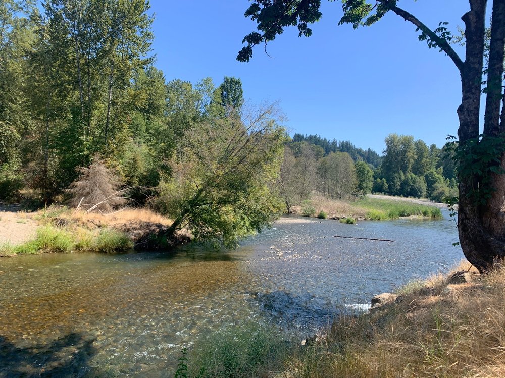 CEDAR RIVER TRAIL - Updated January 2025 - 41 Photos & 28 Reviews ...