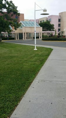 MJHS MENORAH CENTER FOR REHABILITATION AND NURSING CARE - Updated ...