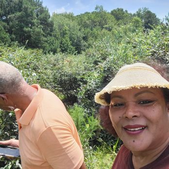 BUSH NECK FARM - Updated December 2025 - 14 Photos - 1502 Bush Neck Rd ...