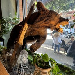 FERAL KITCHEN & LOUNGE - Updated July 2025 - 141 Photos & 60 Reviews ...