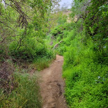 BOX SPRINGS TWO TREES TRAIL - Updated November 2025 - 181 Photos & 34 ...