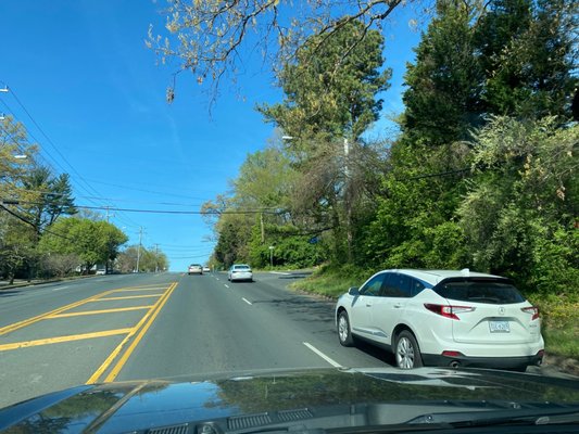 PALM TREE SCHOOL - Updated December 2025 - 10 Photos - 8900 Lee Hwy ...