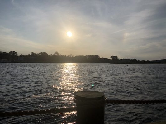 THE RUM RUNNER - 260 Photos & 307 Reviews - 816 Ocean Ave, Sea Bright ...