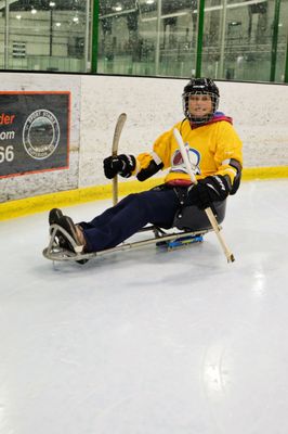 BLUE SPORT STABLE - Updated December 2025 - 24 Photos & 14 Reviews - 1 ...