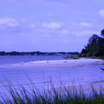 DAMERON MARSH NATURAL AREA PRESERVE - Updated August 2025 - 23 Photos ...