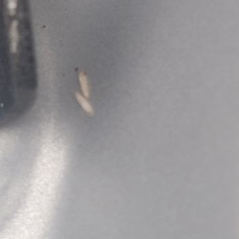 ELYRIA HYUNDAI - Updated December 2025 - 27 Photos & 66 Reviews - 845 ...