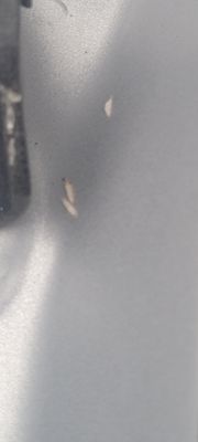 ELYRIA HYUNDAI - Updated December 2025 - 27 Photos & 66 Reviews - 845 ...