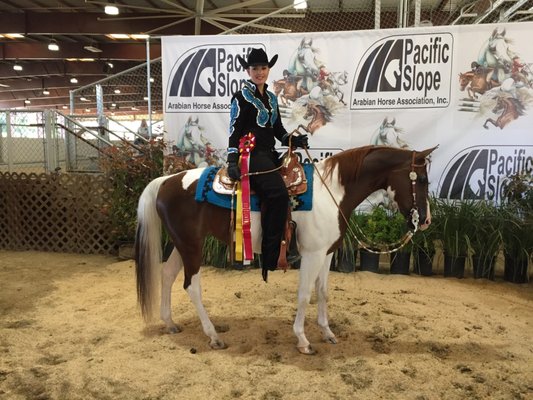 CERCEK PERFORMANCE HORSES - Updated August 2024 - 21 Photos - 2595 Knob ...