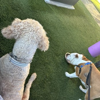 PHINNEY STATION - Updated August 2025 - 76 Photos & 49 Reviews - 7418 ...