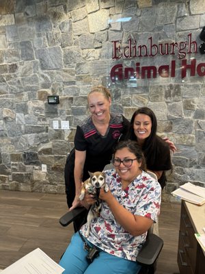 EDINBURGH ANIMAL HOSPITAL - Updated January 2026 - 32 Photos & 50 ...