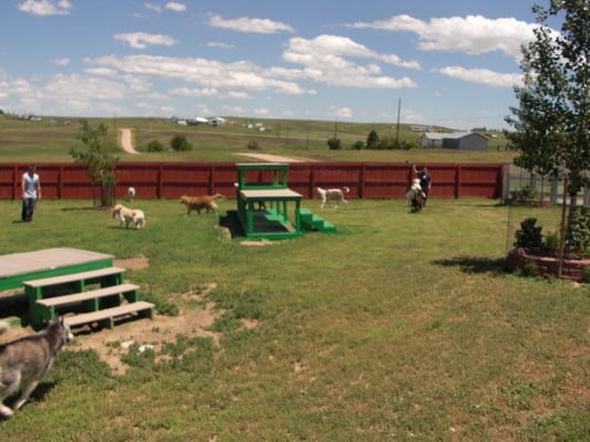 SHYLO COUNTRY CLUB FOR DOGS - Updated December 2025 - 38 Reviews - 1625 ...