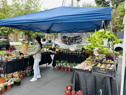 POMONA FARMERS MARKET - Updated June 2026 - 48 Photos & 16 Reviews ...