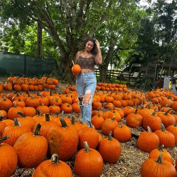 MARANDO FARMS & RANCH - Updated November 2025 - 375 Photos & 127 ...