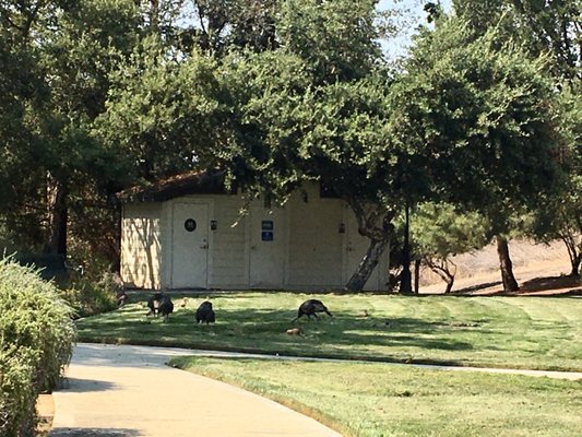 ALCOSTA SENIOR AND COMMUNITY CENTER - Updated June 2024 - 22 Photos ...