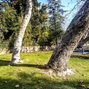 DUNSMORE PARK - 32 Photos & 14 Reviews - 4700 Dunsmore Ave, La ...