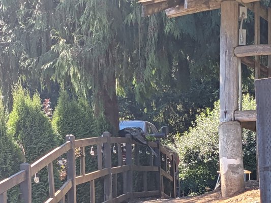 HORNING’S HIDEOUT - Updated August 2024 - 297 Photos & 54 Reviews ...