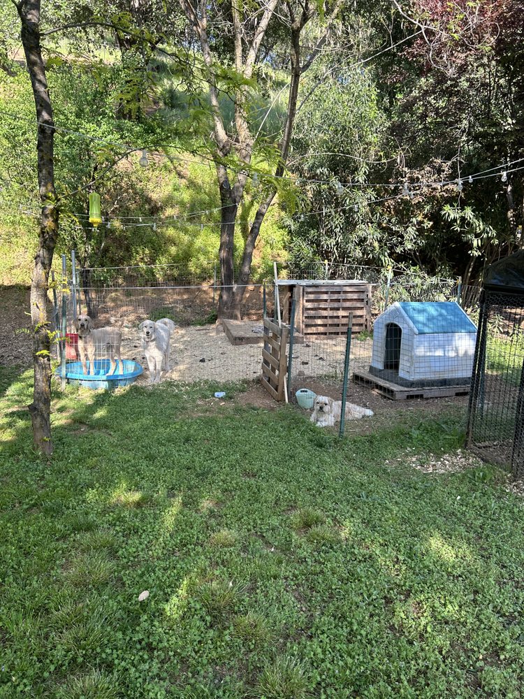 PROPER PEST CONTROL - Updated July 2025 - 20 Photos - Oak Run ...