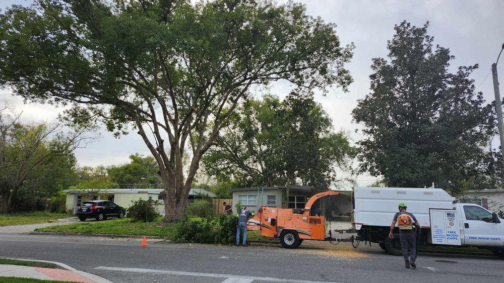 AGGRESSIVE TREE PROS & STUMP GRINDING - Updated October 2025 - Deltona ...