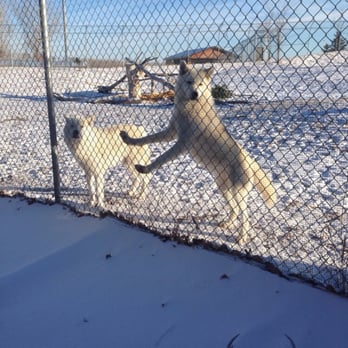 RED RIVER ZOO - Updated November 2024 - 174 Photos & 36 Reviews - 4255 ...