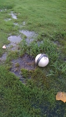 MASTICK WOODS GOLF COURSE - Updated September 2025 - 12 Reviews - 19900 ...