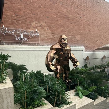 TABAC+ - Updated July 2025 - 104 Photos & 52 Reviews - 2215 Kettner ...