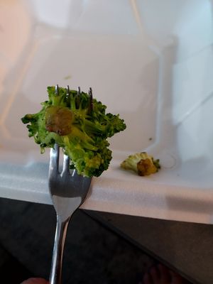 TJ CHUMPS - Updated October 2025 - 73 Photos & 144 Reviews - 1100 E ...