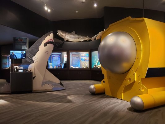 FLANDRAU SCIENCE CENTER & PLANETARIUM - 104 Photos & 56 Reviews - 1601 ...