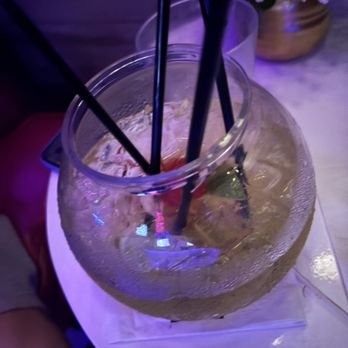 STRUT BAR & CLUB - Updated June 2024 - 166 Photos & 238 Reviews - 719 W ...