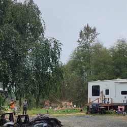 Best Tree Services Near Me - August 2025: Find Nearby Tree Services ...