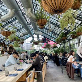 OPENAIRE - Updated May 2025 - 3336 Photos & 1775 Reviews - 3515 ...