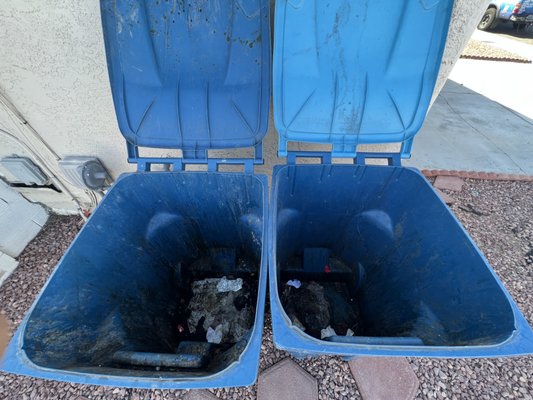 CLEAN N FRESH BINS - Updated December 2025 - 26 Photos & 37 Reviews ...