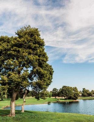 BELLAIR GOLF PARK - Updated November 2025 - 39 Photos & 40 Reviews ...