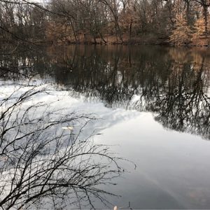 WALLWORTH POND - Updated June 2025 - 96 Evans Mill Rd, Haddonfield, New ...