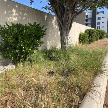 SPROUTS FARMERS MARKET - Updated December 2025 - 73 Photos & 127 ...