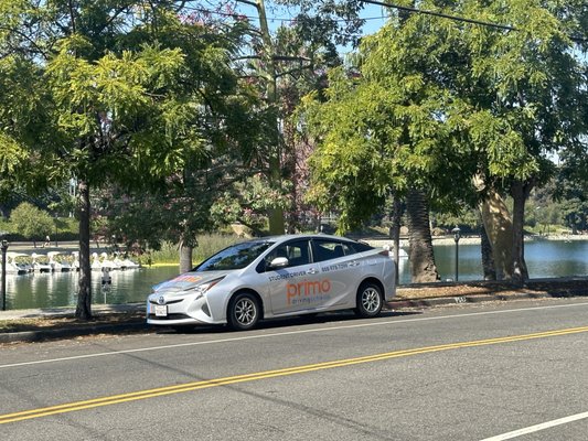 PRIMO DRIVING SCHOOL - Updated December 2025 - 112 Photos & 166 Reviews ...