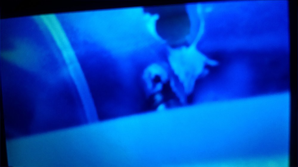 POOL REPAIR - Updated April 2024 - 3433 Rivendell Dr, Amelia, Ohio ...