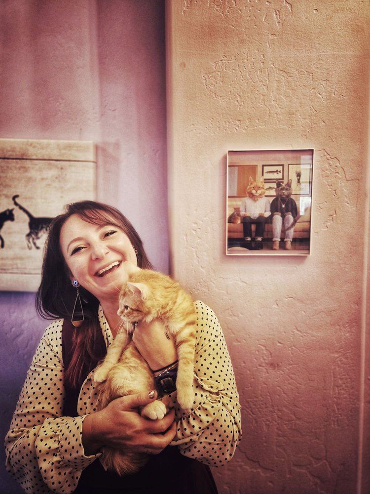 CAT CARE - Updated October 2025 - Request Information - 72 Suttle St ...