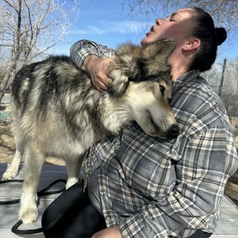 WOLF MOUNTAIN SANCTUARY - Updated October 2025 - 457 Photos & 190 ...