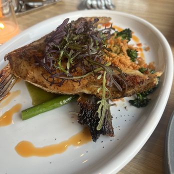 KOTHAI REPUBLIC - Updated September 2024 - 963 Photos & 323 Reviews ...