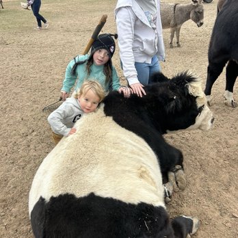 CALVARY FARMS - Updated December 2025 - 29 Photos - 4231 Stuart Rd ...