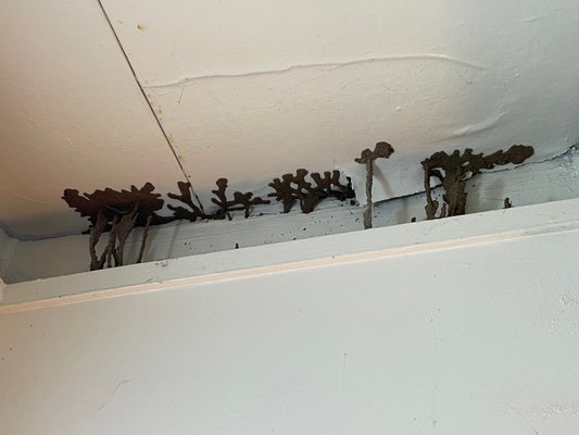 FAST ACTION PEST CONTROL - Updated December 2025 - 137 Photos & 754 ...