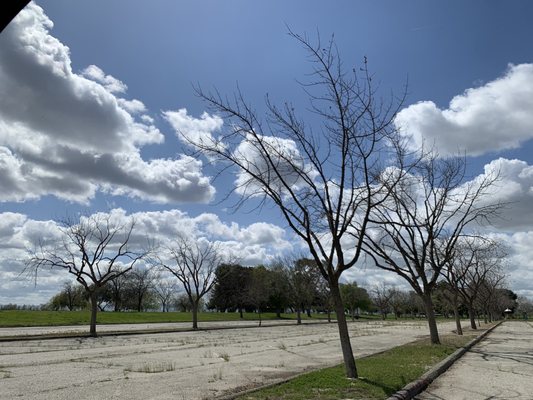 BUENA VISTA LAKE - 59 Photos & 44 Reviews - Enos Ln, Tupman, California ...